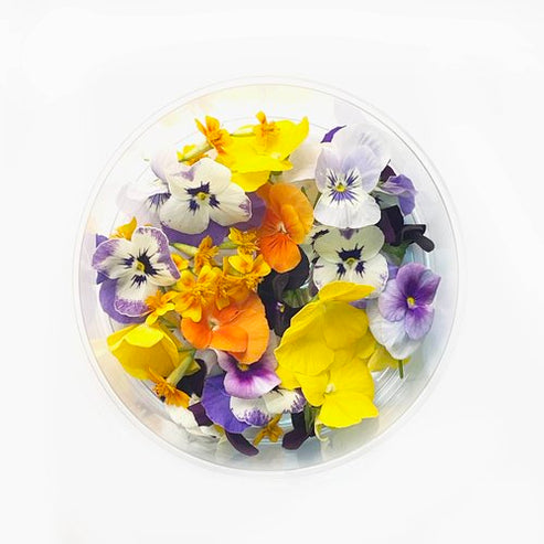 Viola mix - Edible Flowers