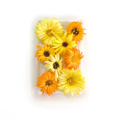Calendula - Edible Flowers